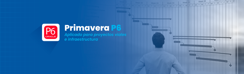 Primavera P6 – Vial